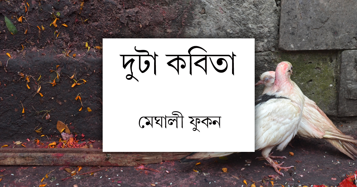 মেঘালী ফুকনৰ দুটা কবিতা